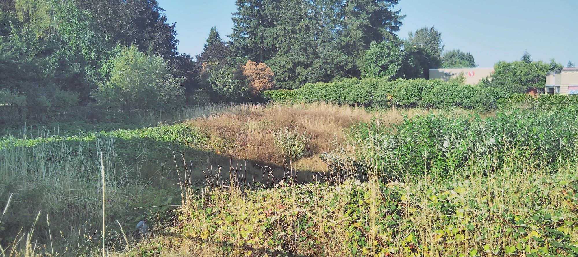 Generation Place HOA Stormwater Management | Kings Stormwater Services