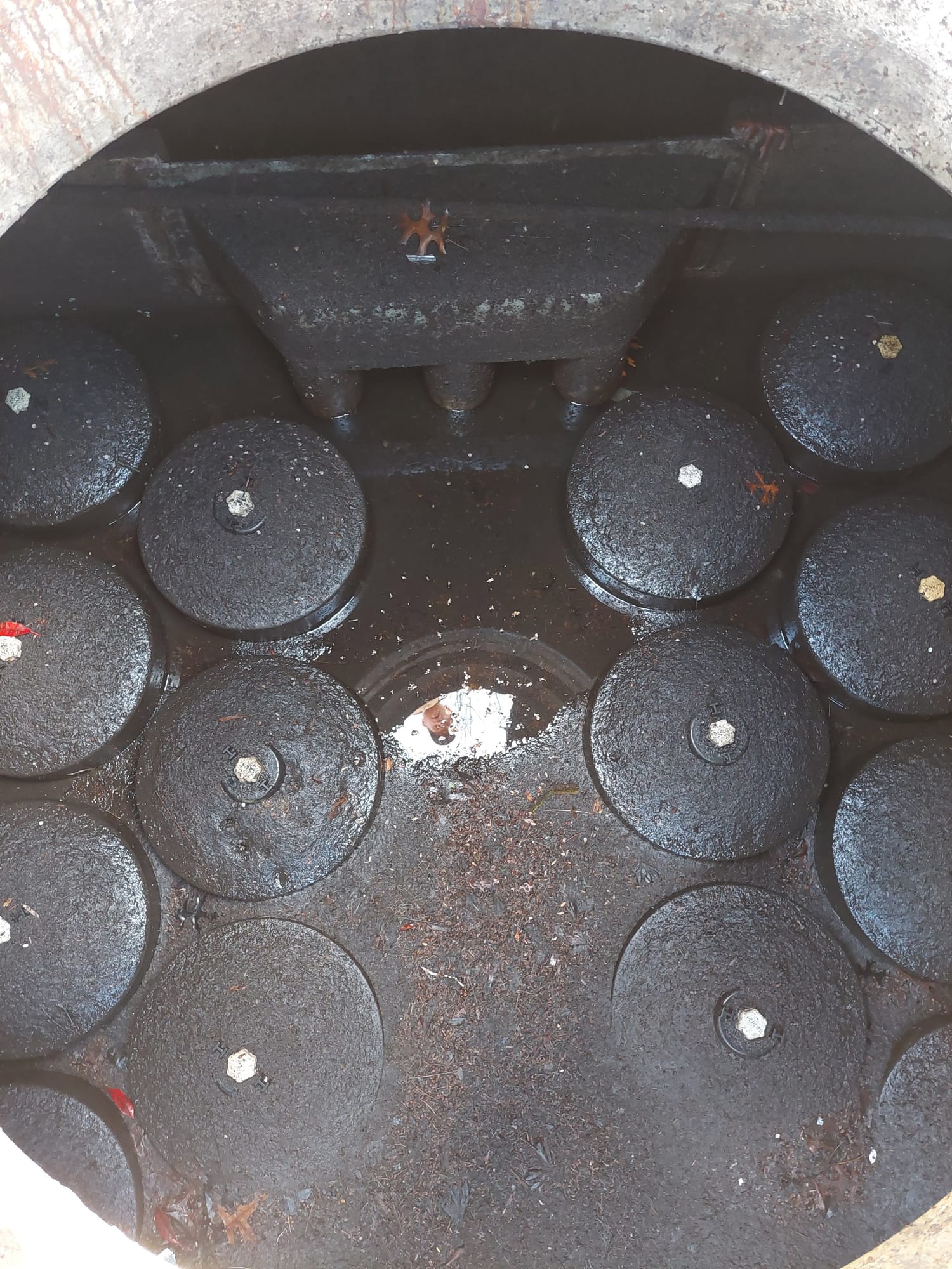 In-ground Filter Work | Kings Stormwater Services